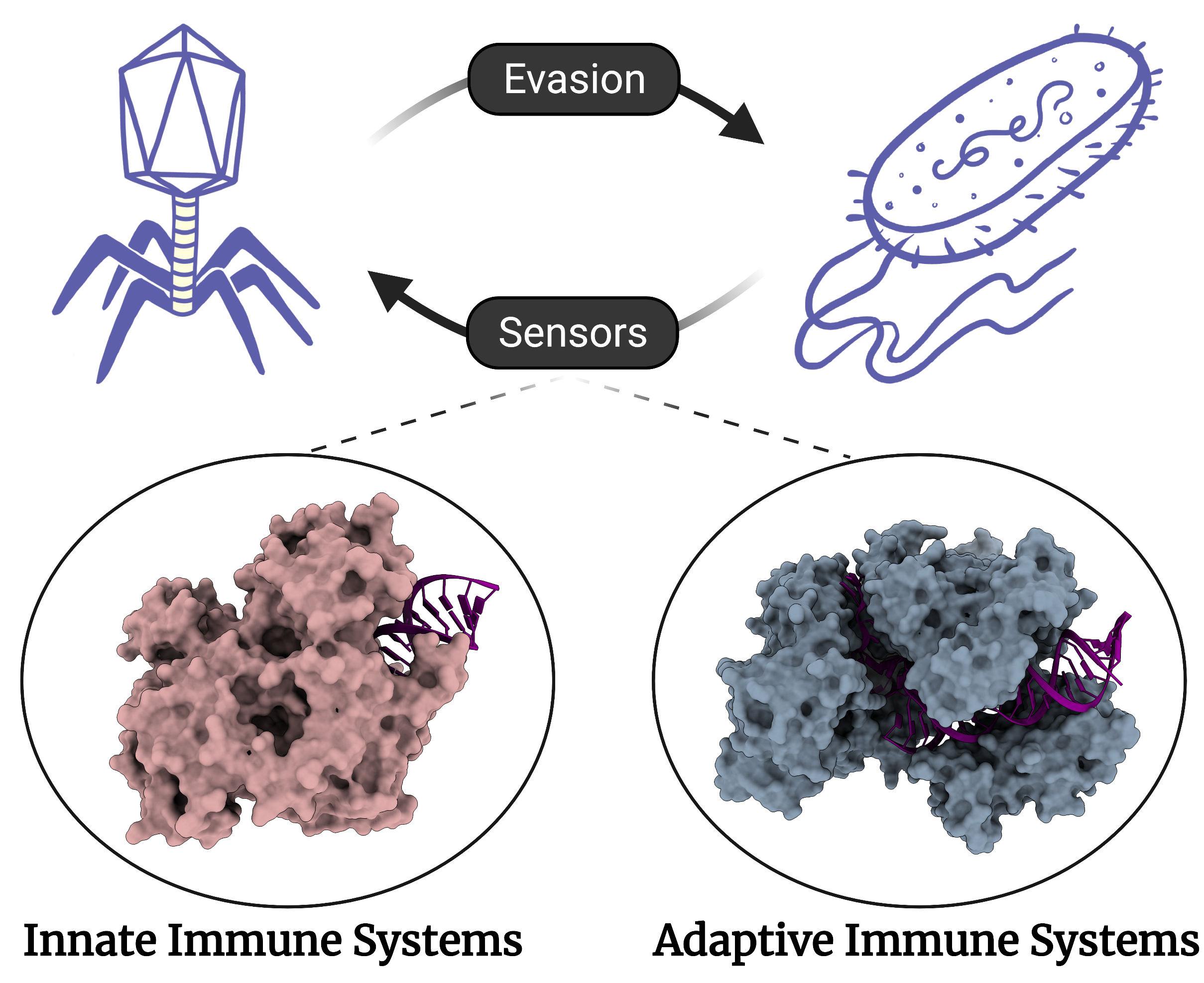 General 2 — Knott Lab