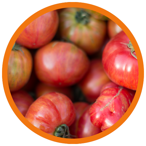 Community Environmental Council