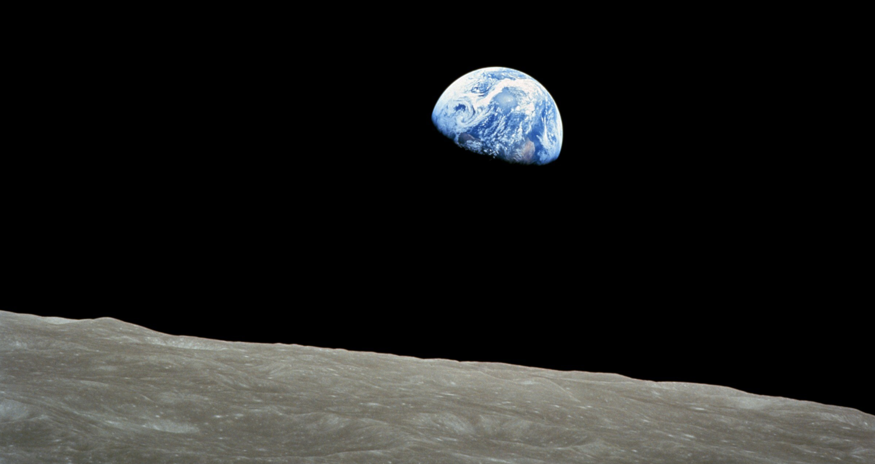 The Earth Without Us: An Earth Day Reflection from Sigrid Wright ...