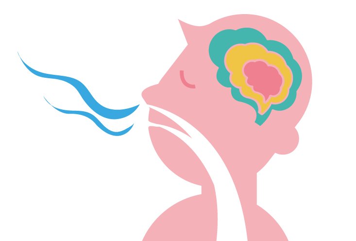 Train Your Brain Exercises — Real Life Psychology