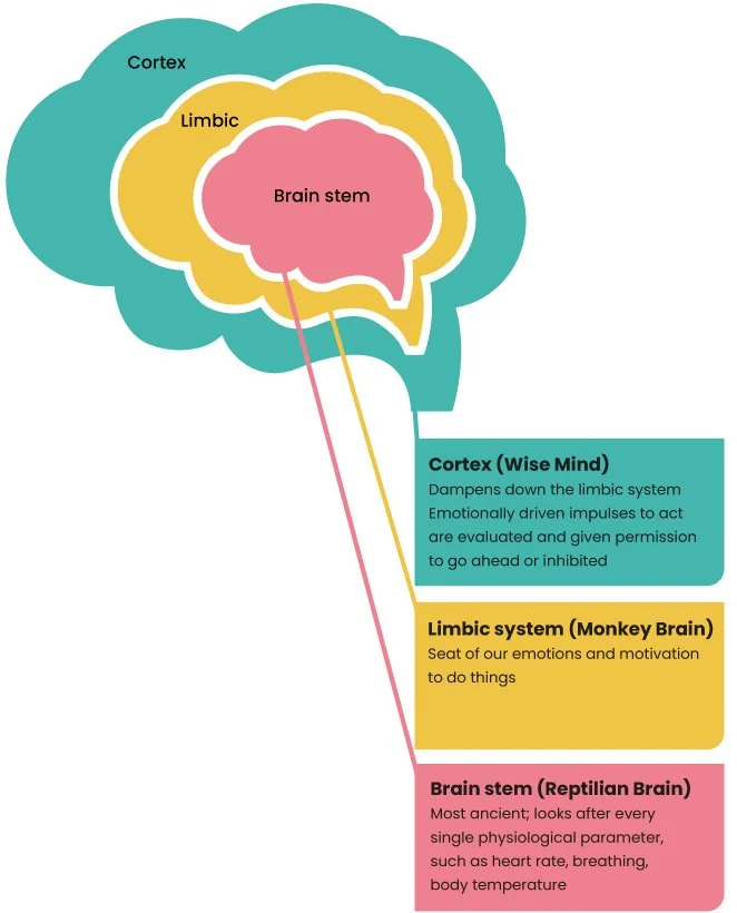 Train Your Brain: A model to help understand and regulate emotions ...