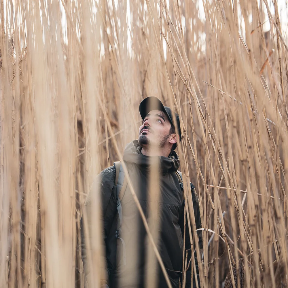 About — Anthony Gugliotta