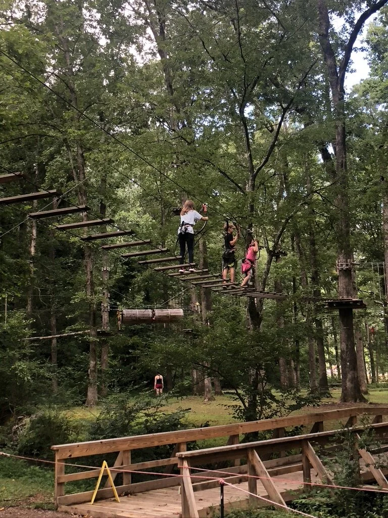 Green Course — Carolina Treetop Challenge