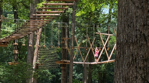 Maps & Directions — Carolina Treetop Challenge