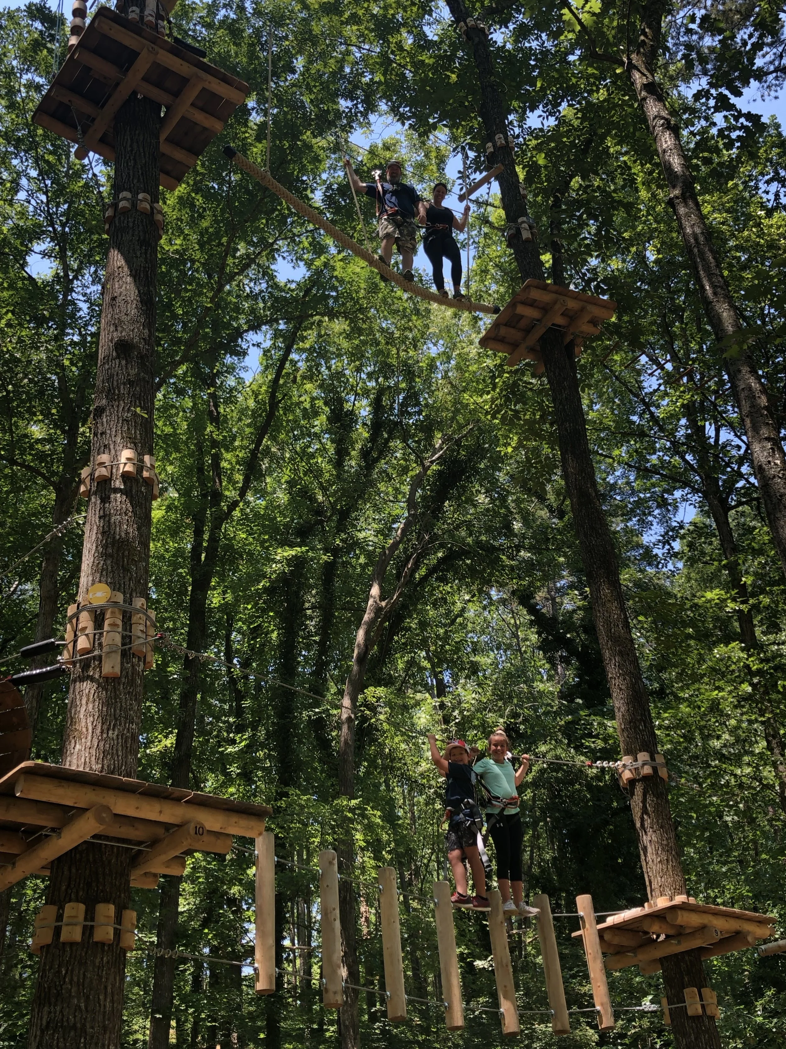 Carolina Treetop Challenge