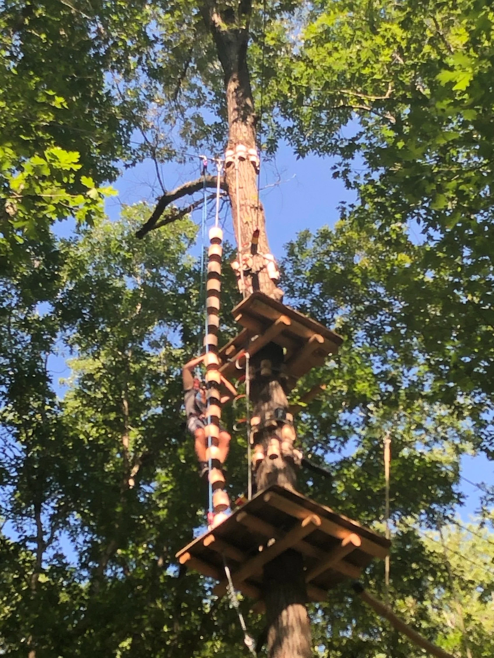 Carolina Treetop Challenge