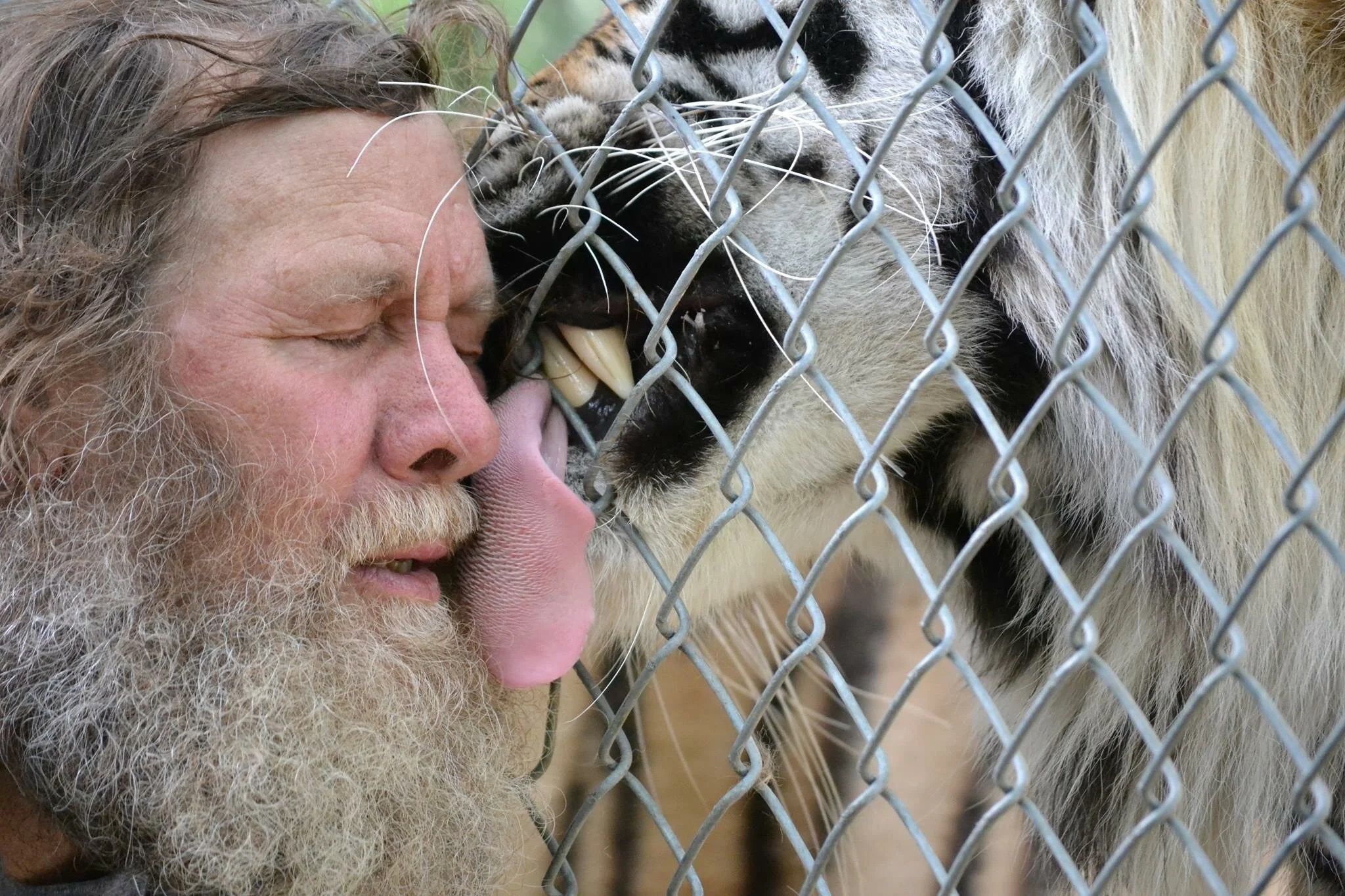 Animals — DEW Haven | Maine Zoo & Rescue