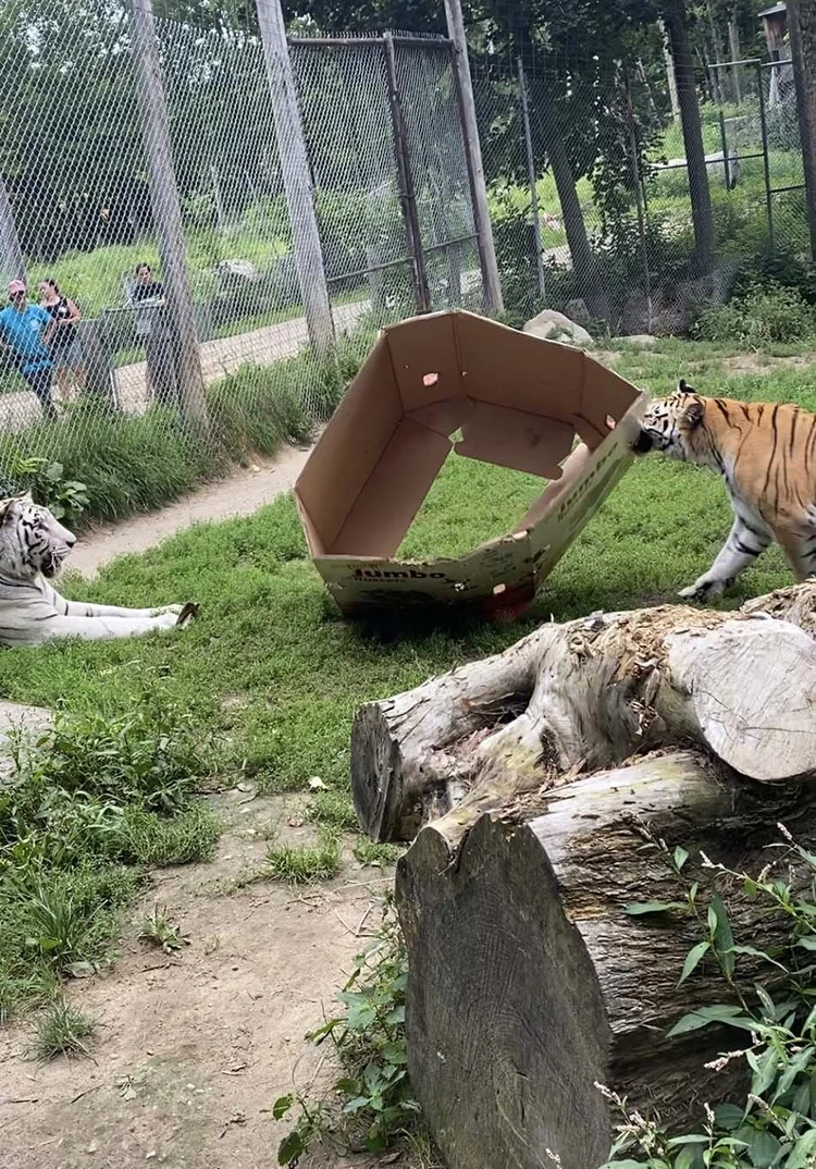 Animal Enrichment — DEW Haven | Maine Zoo & Rescue