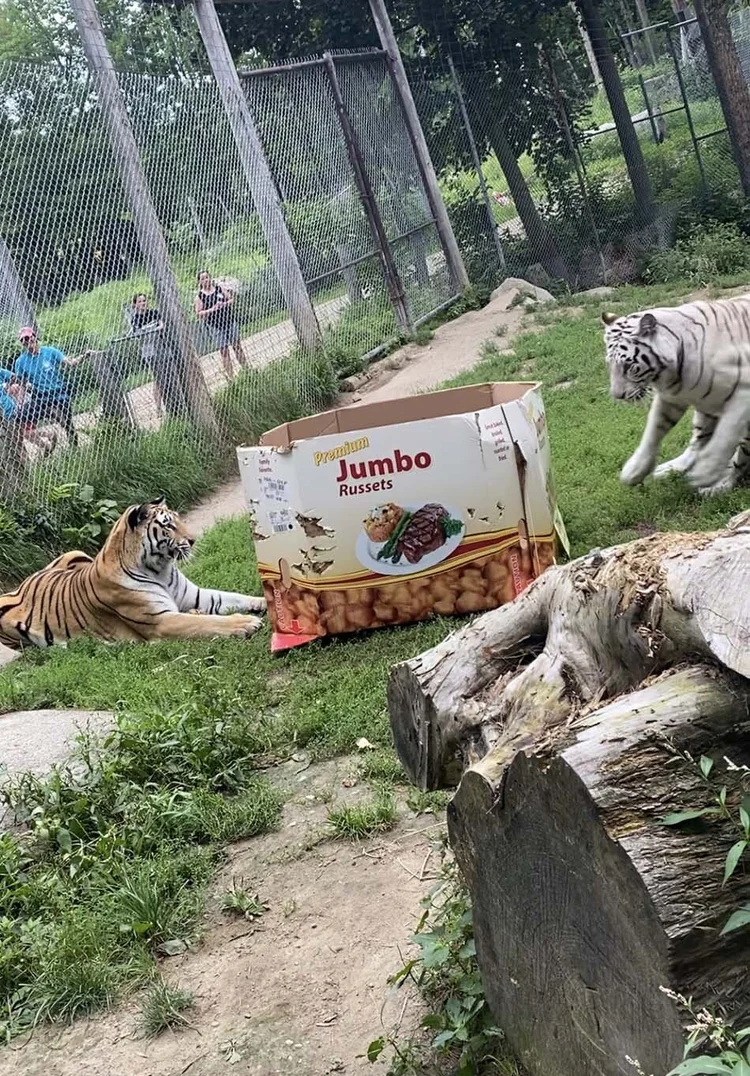 Animal Enrichment — DEW Haven | Maine Zoo & Rescue