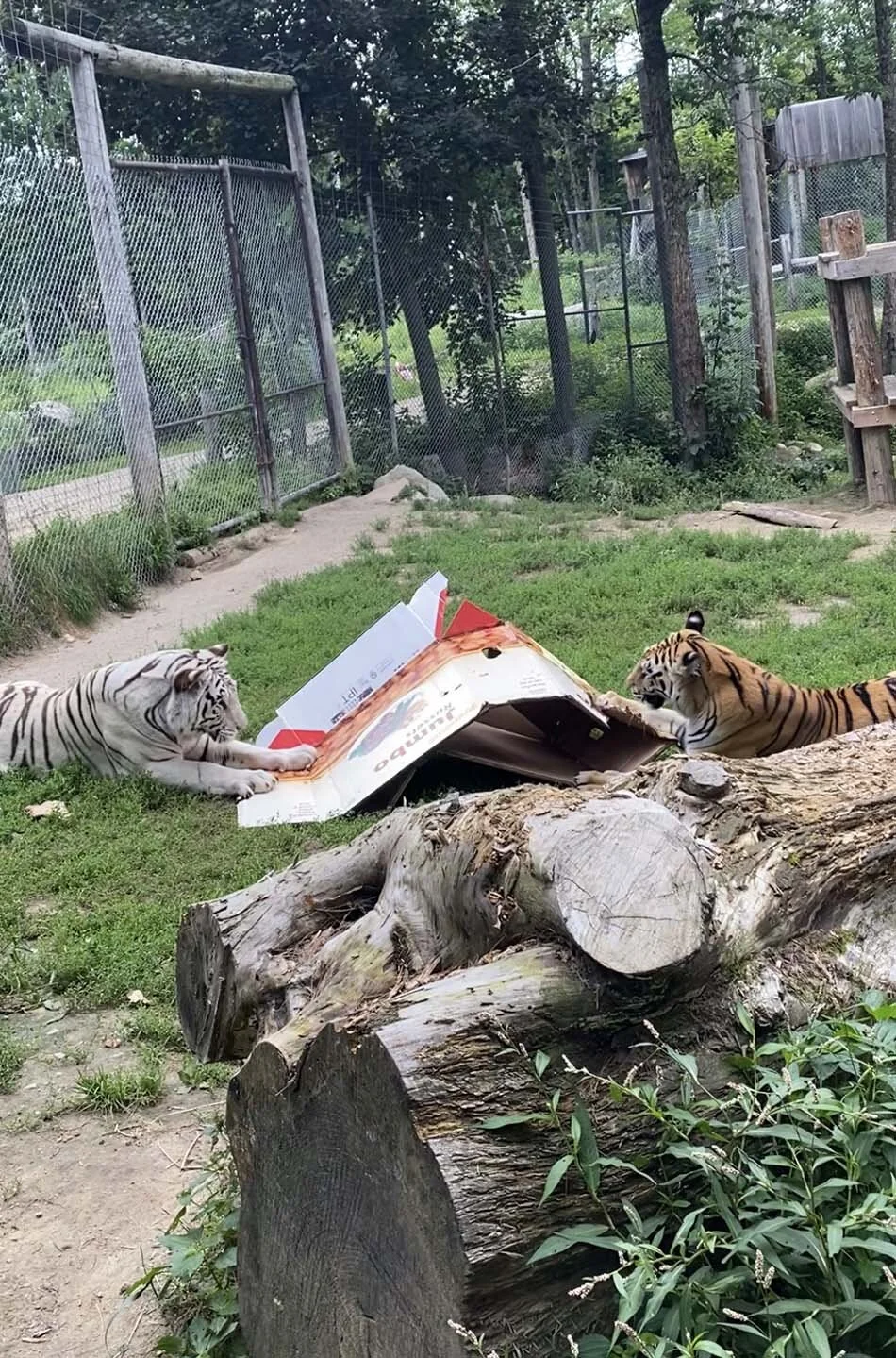 Animal Enrichment — DEW Haven | Maine Zoo & Rescue