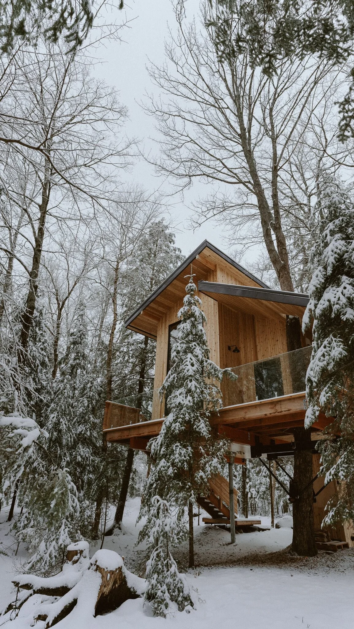 Fort Treehouse Co.