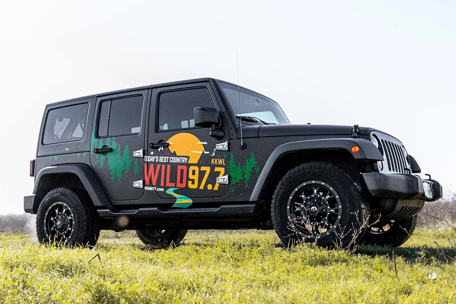 A Wild Wrap | BiG sign fx