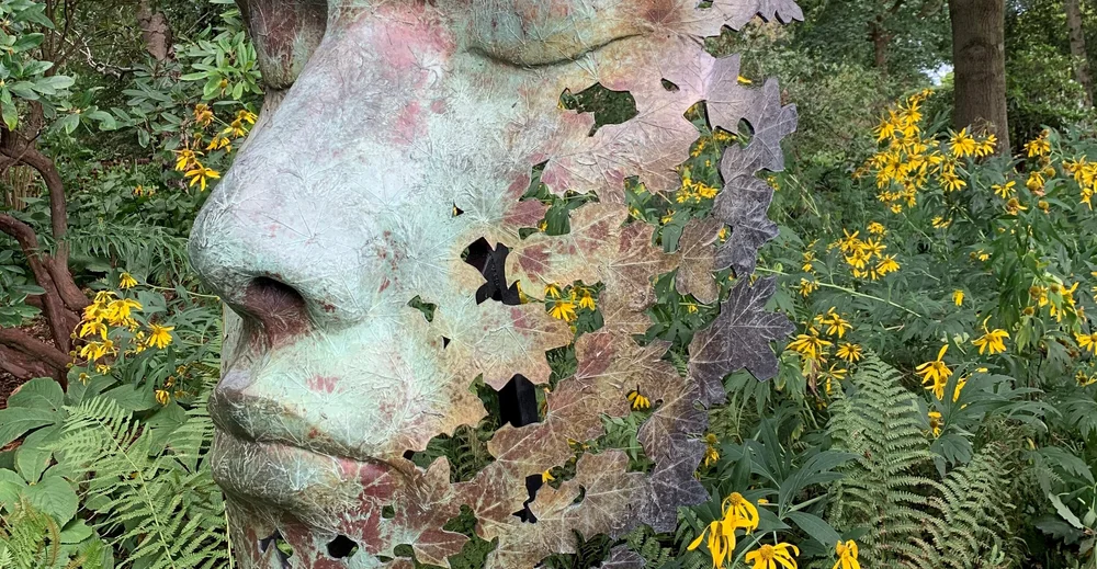 Net Positive Solutions