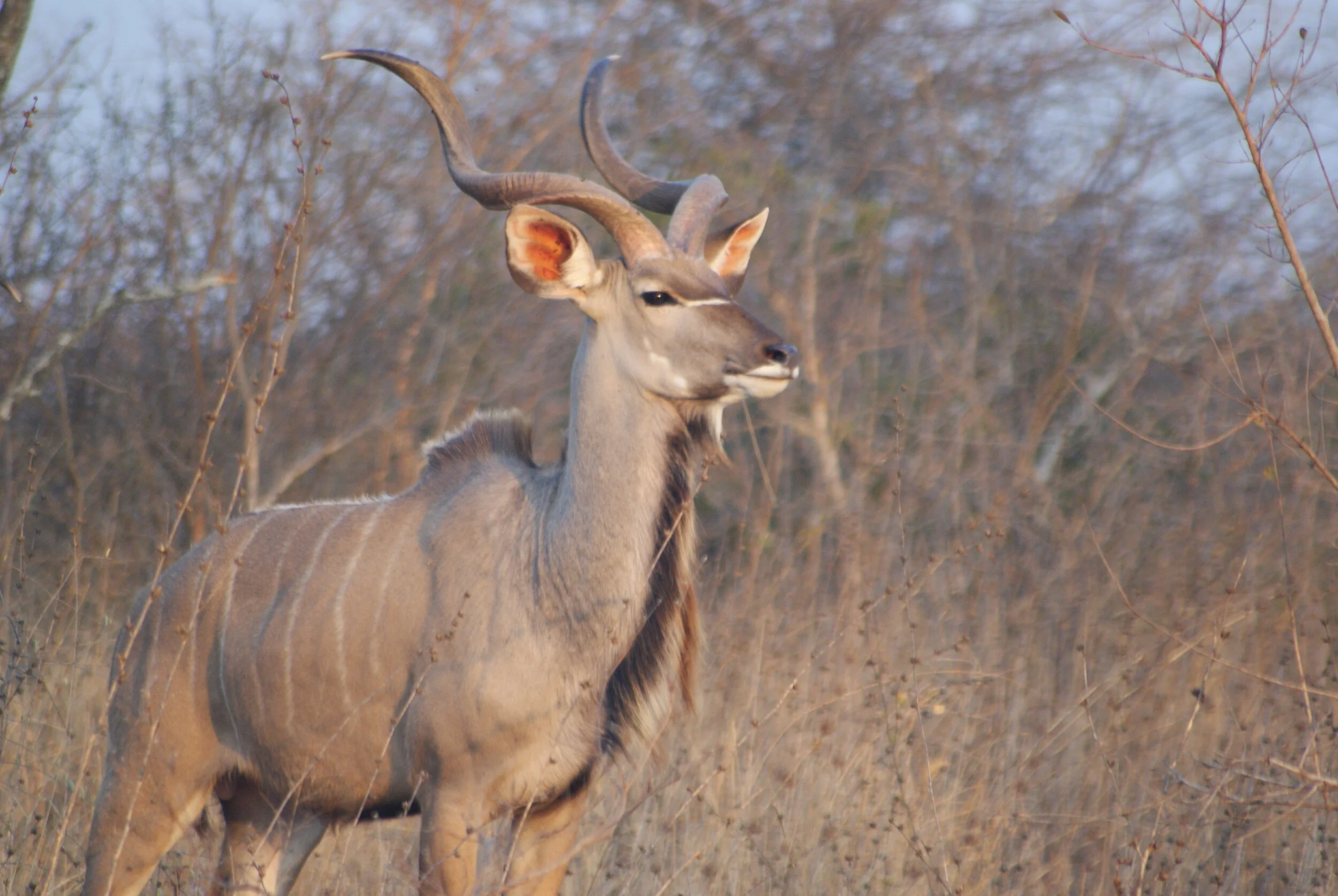 Photography — Spike Lobdell Art