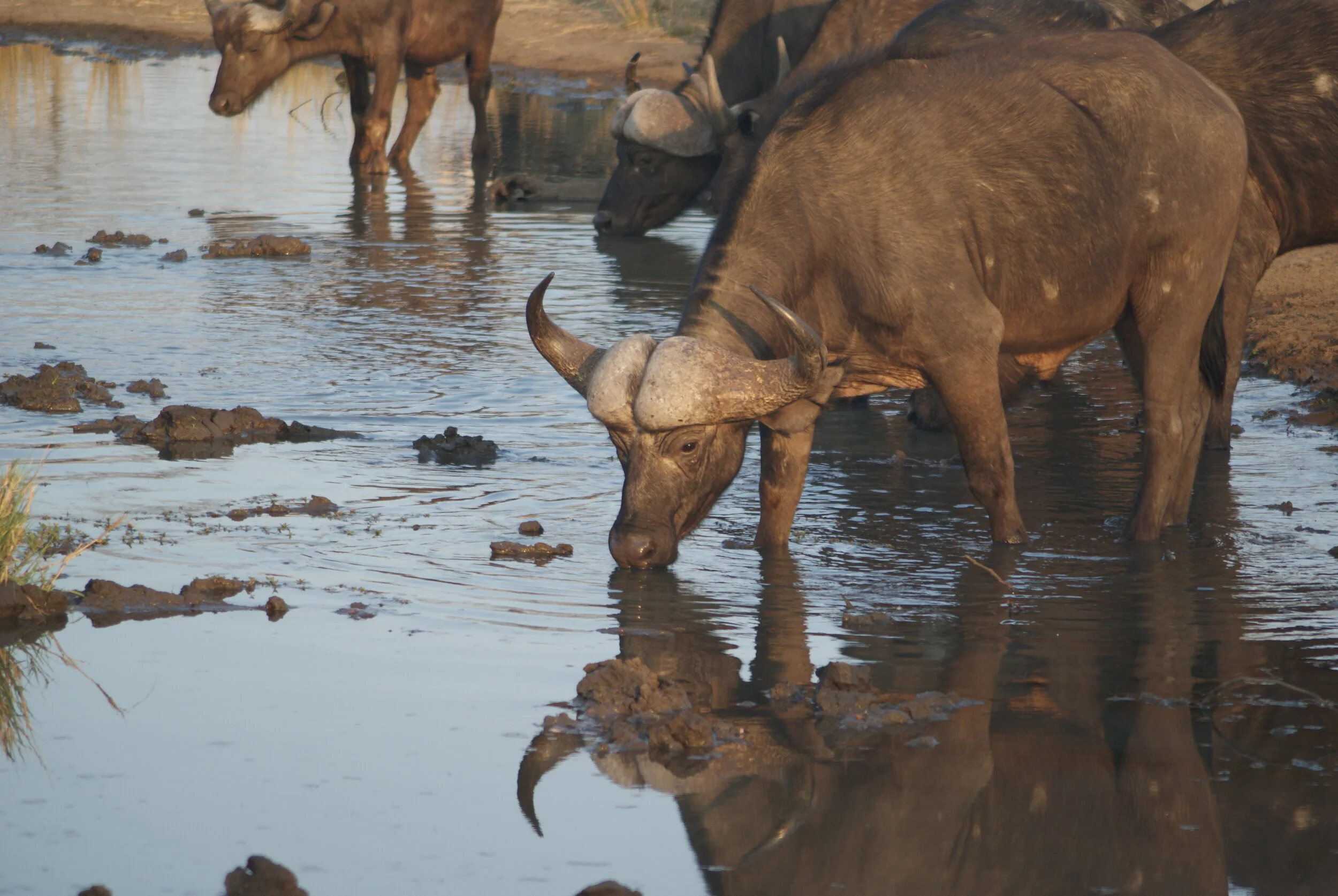 Photography — Spike Lobdell Art