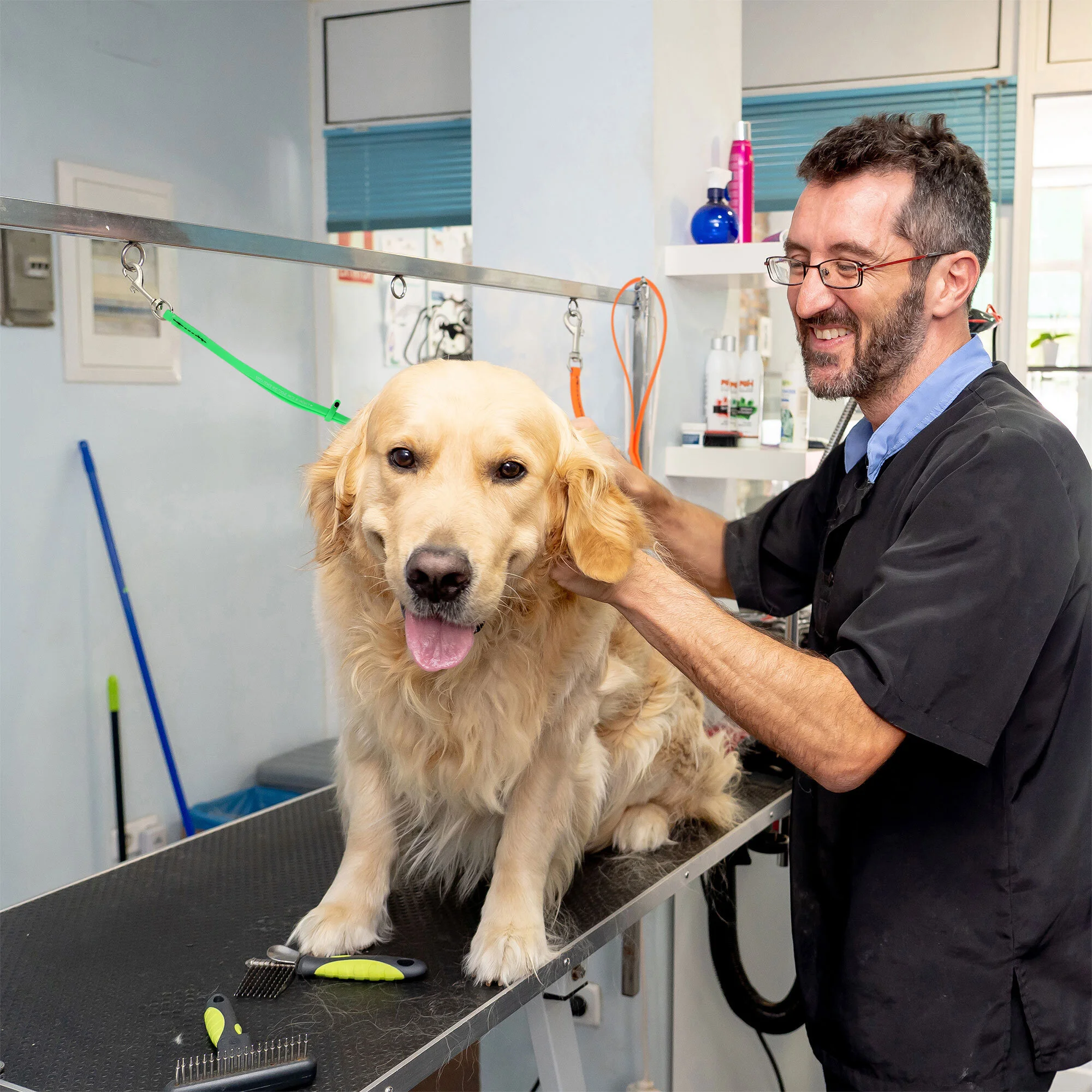 Waterproof Grooming Loops for Dogs | Quick-Dry — Jelly Pet