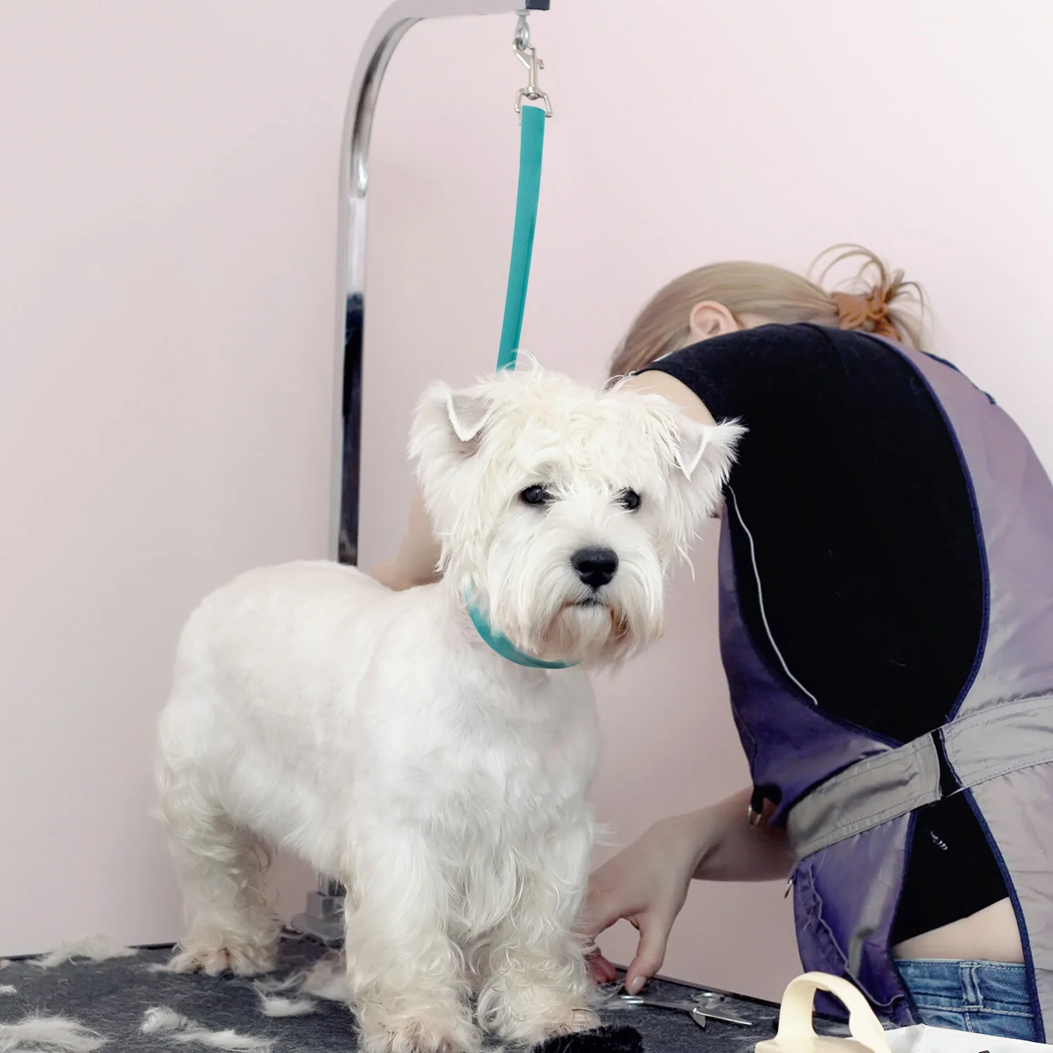 Waterproof Grooming Loops for Dogs | Quick-Dry — Jelly Pet