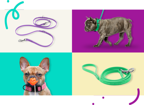 Jelly Pet. A Jolly Pooch is a Jelly Pet. Leashes, loops and leads :-)