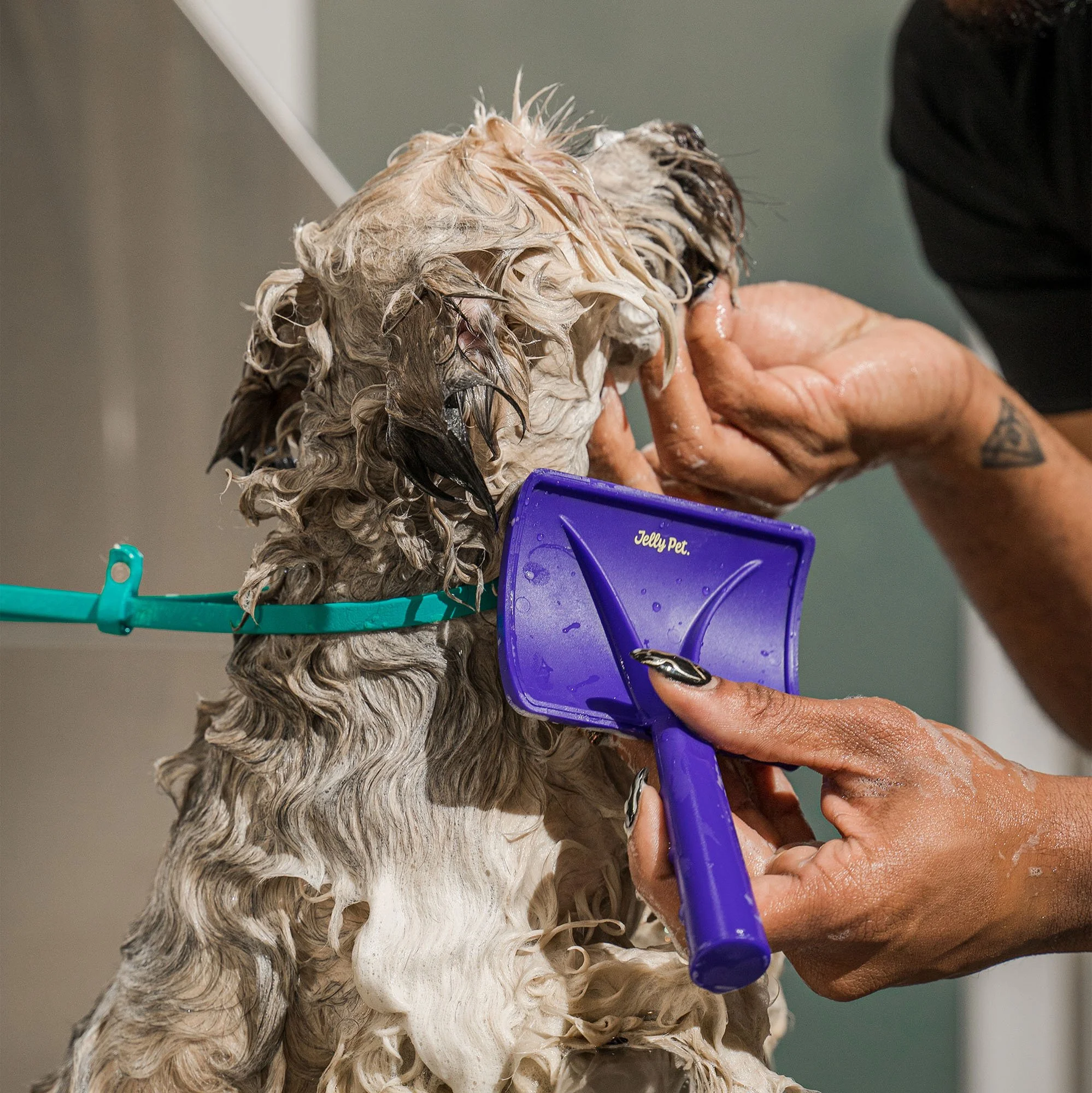 Dog Grooming Slicker Brushes | Extra Long Pins — Jelly Pet