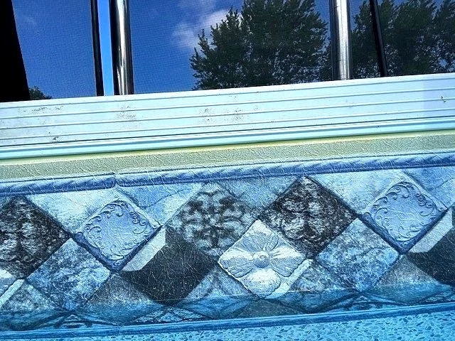 Importance Of Testing Your Water After Opening — Colley's Pools and Spas