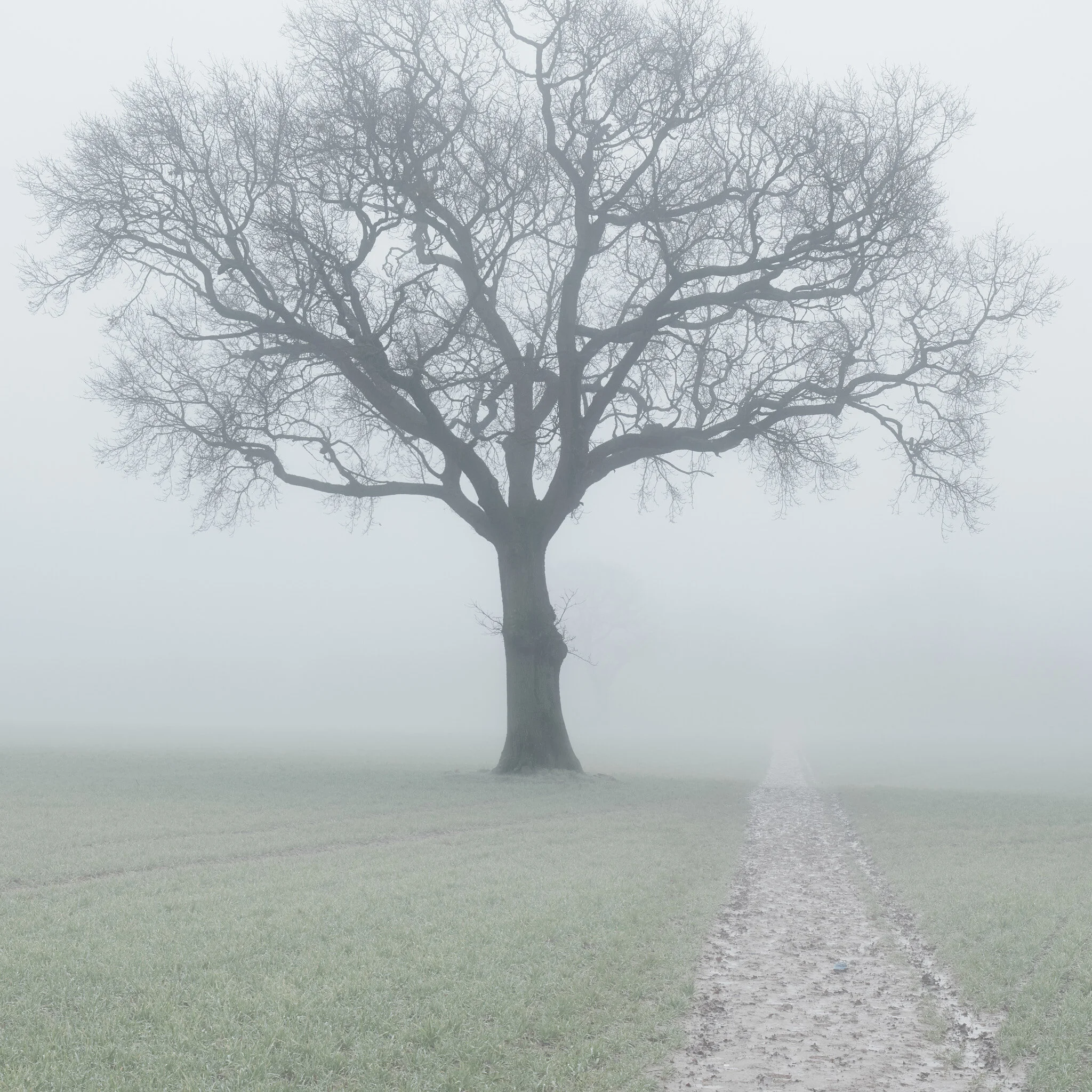 Paul Spencer Williams Photography