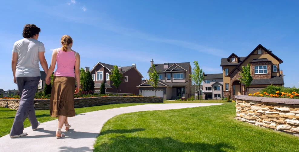 Wildland Development