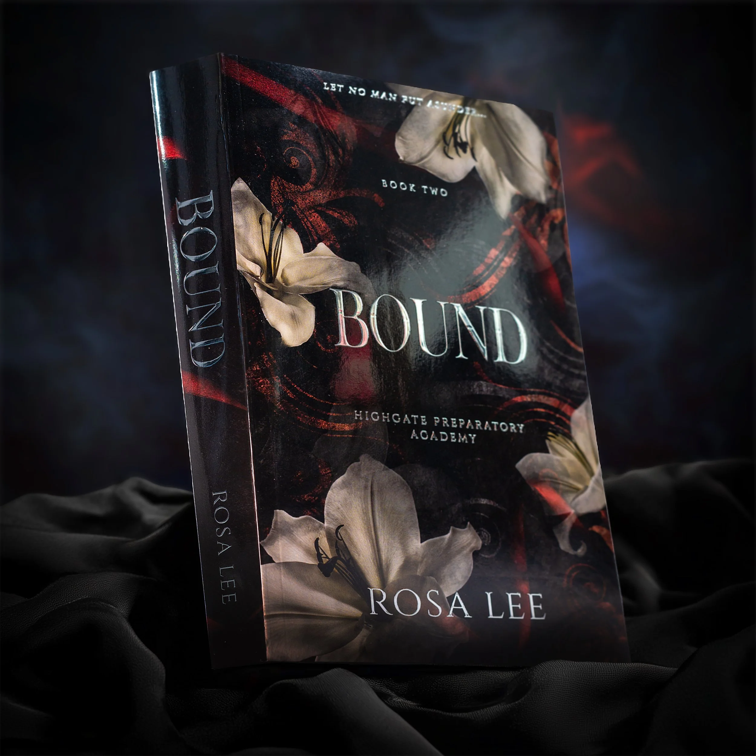 Highgate Preparatory Academy Series — Rosa Lee Author