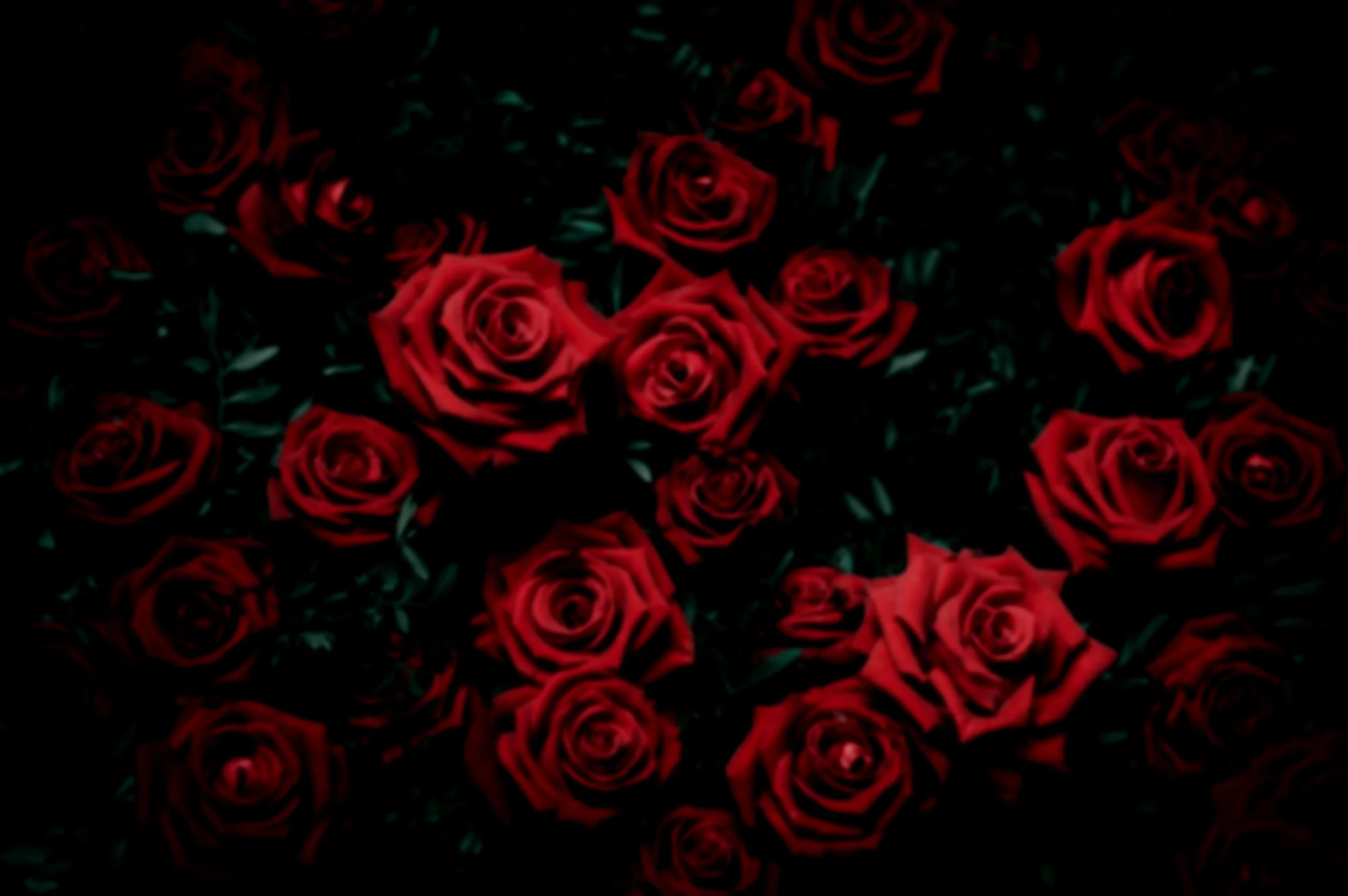 Highgate Preparatory Academy Series — Rosa Lee Author