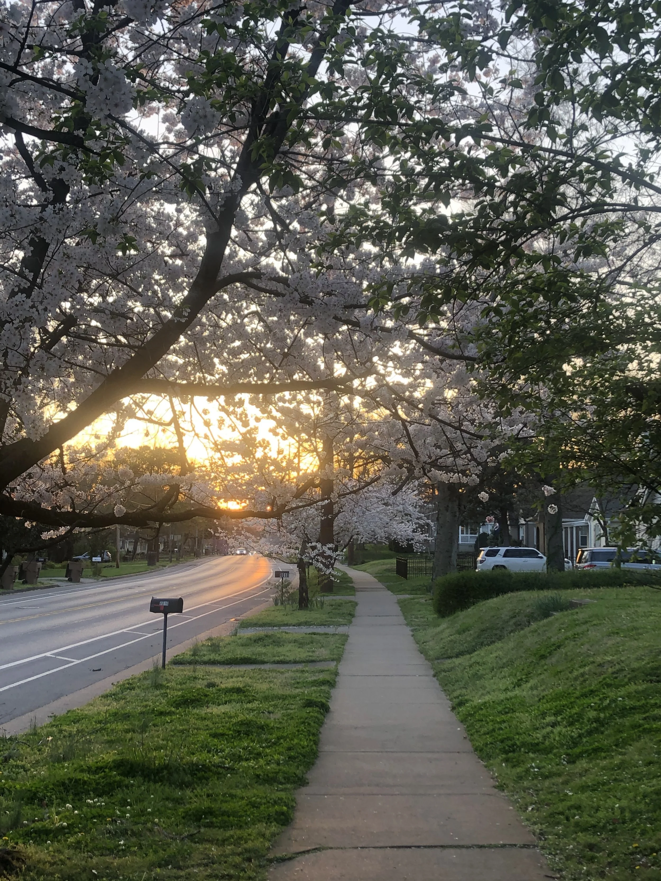 About Sylvan Park — Sylvan Park Neighborhood Association