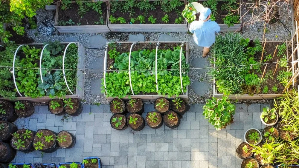A Year in the Urban Garden — gardenologie