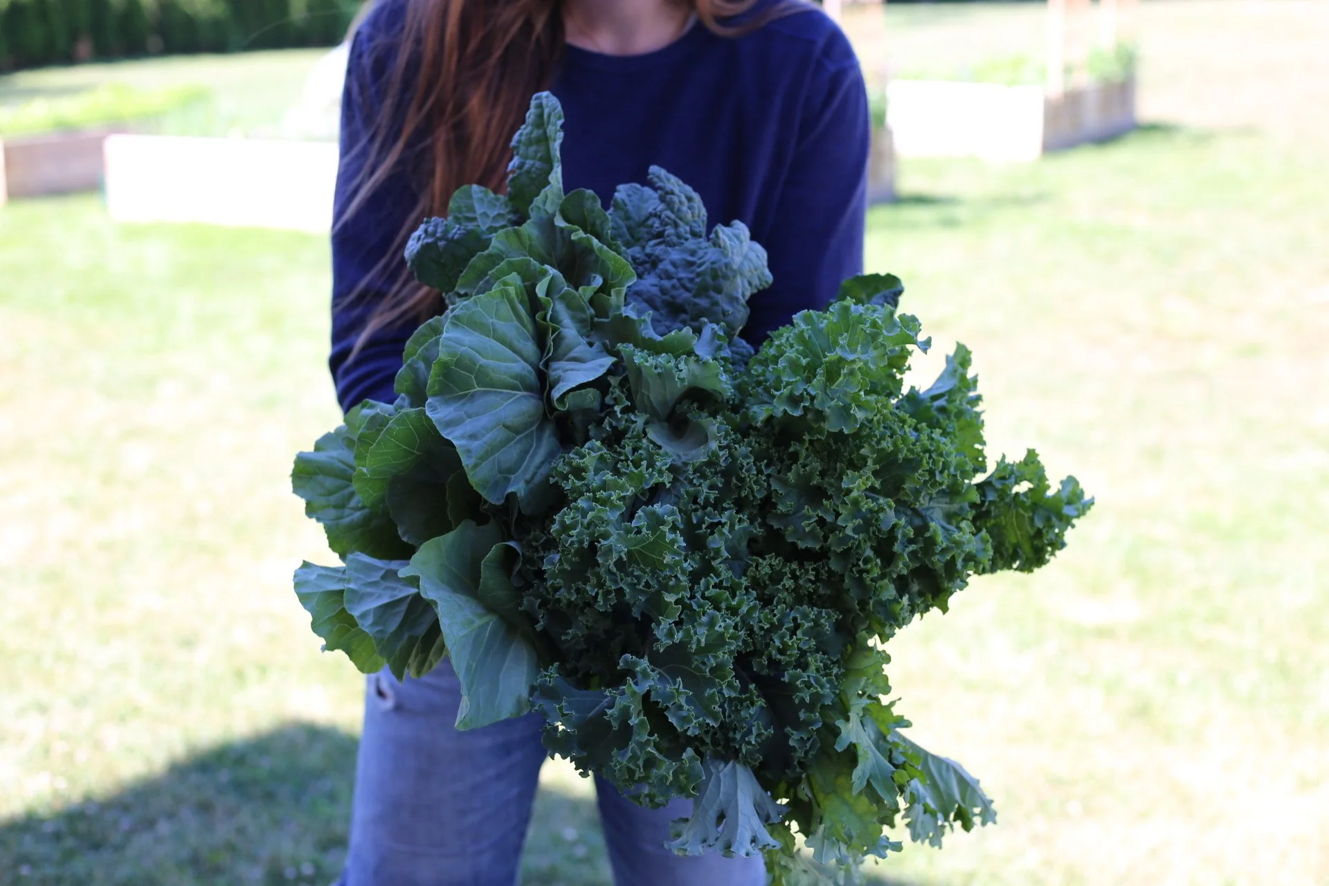 TOP Picks for Planting a Smoothie Garden — gardenologie