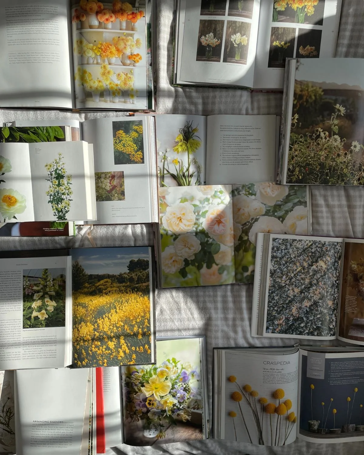 Secrets of Good Garden Design - Part 1 — gardenologie