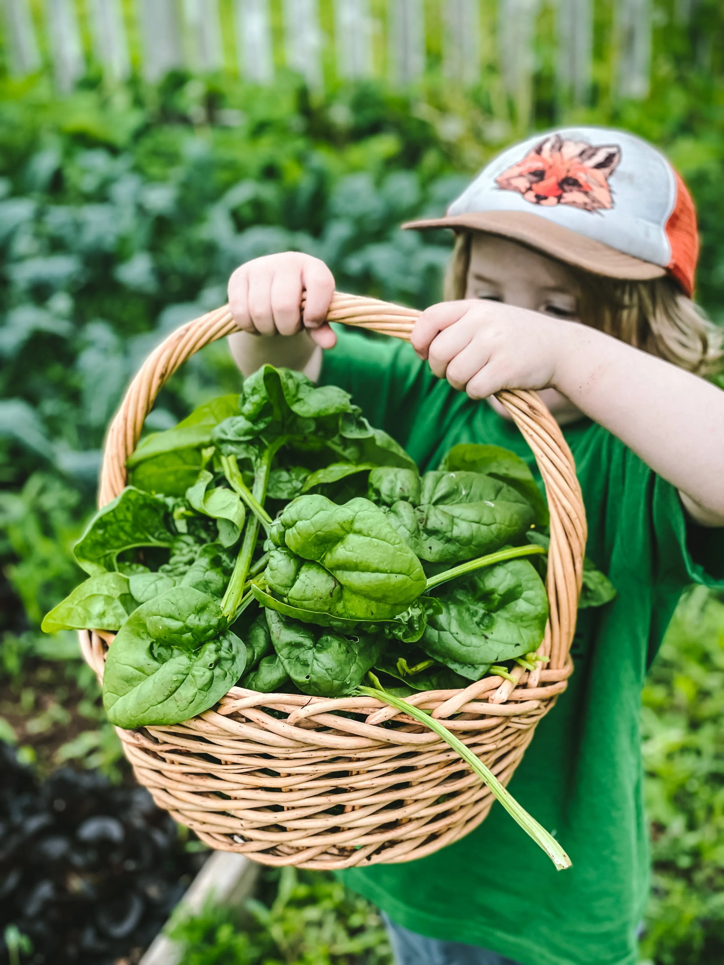 TOP Picks for Planting a Smoothie Garden — gardenologie