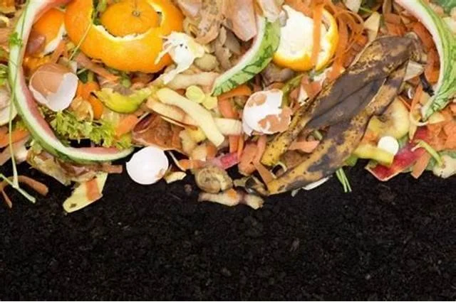 Winton MFG | Transform Waste, Support Sustainability