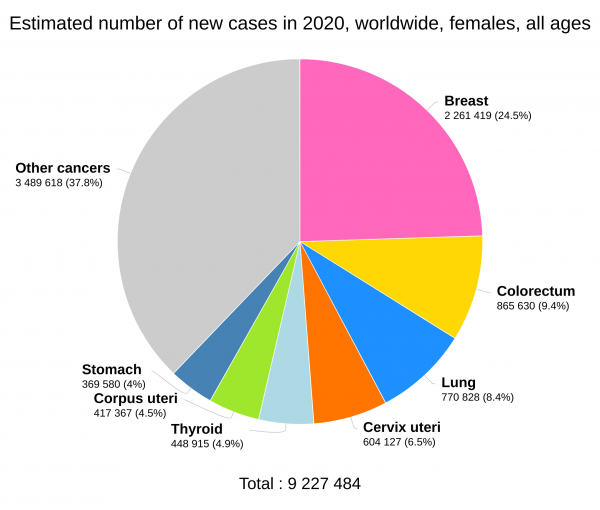 The Problem — Caelum Diagnostic Solutions