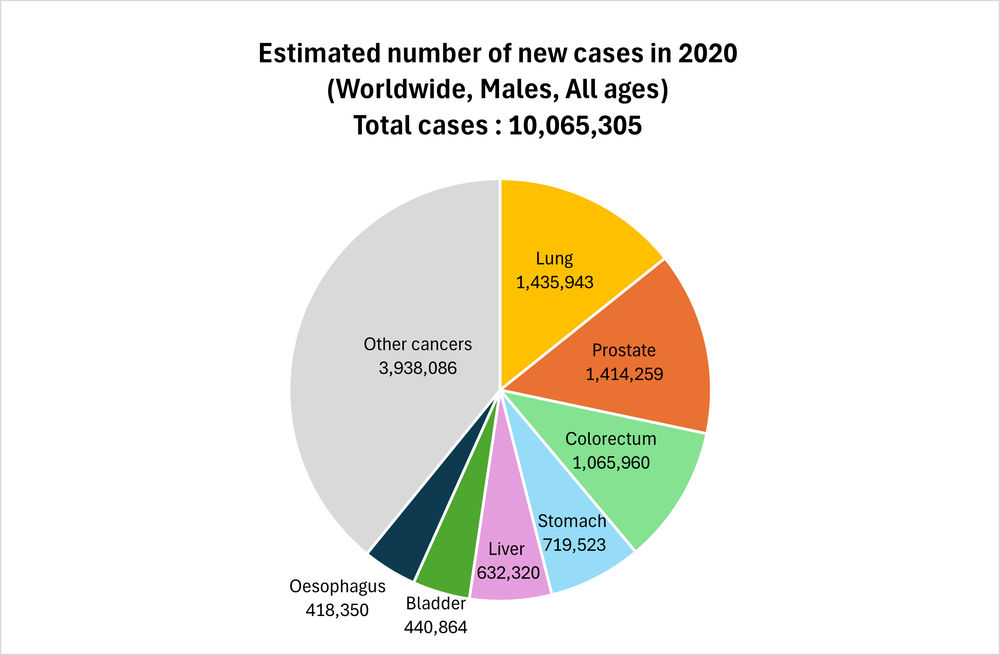 About — Caelum Diagnostic Solutions