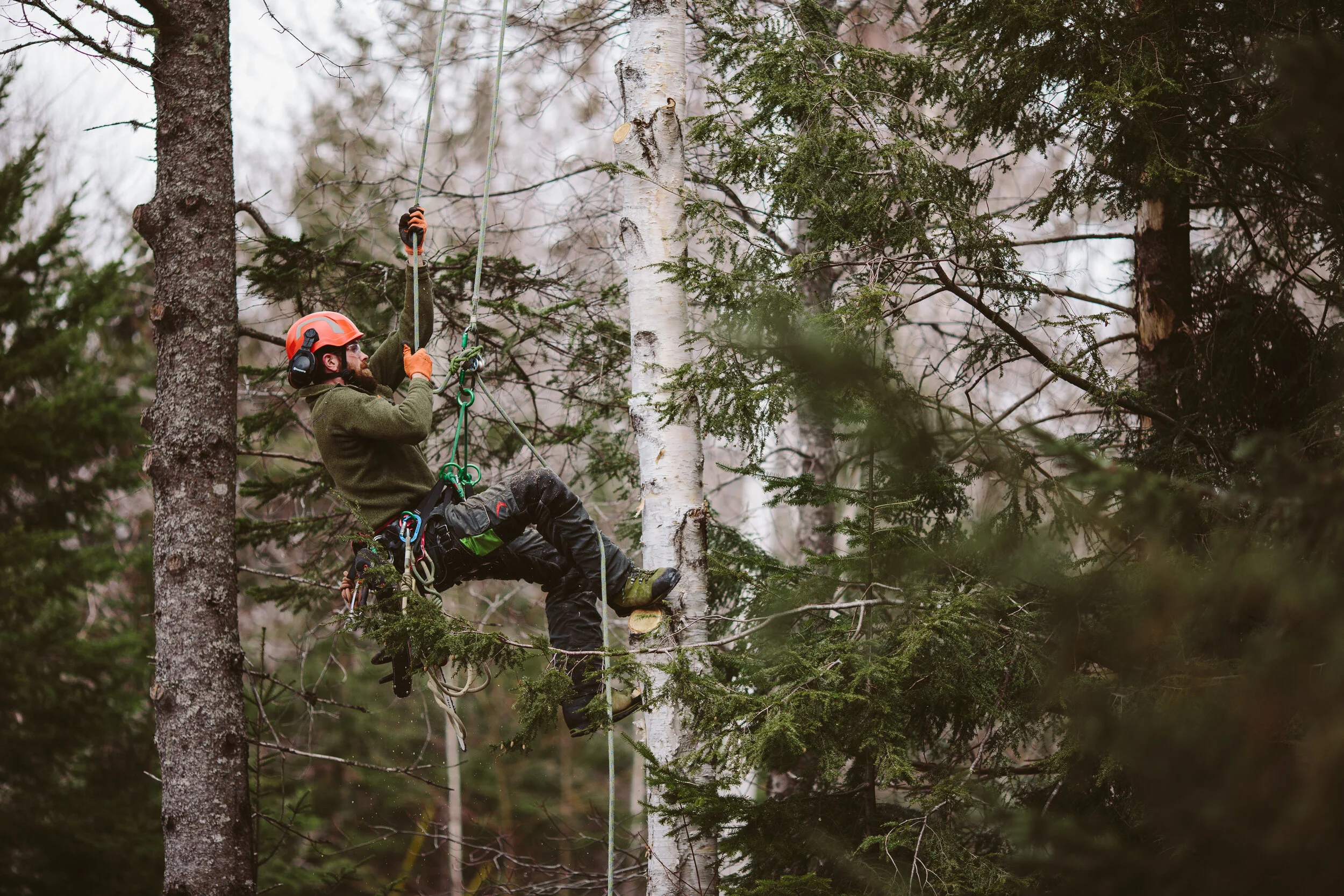 Atlantic Tree Solutions