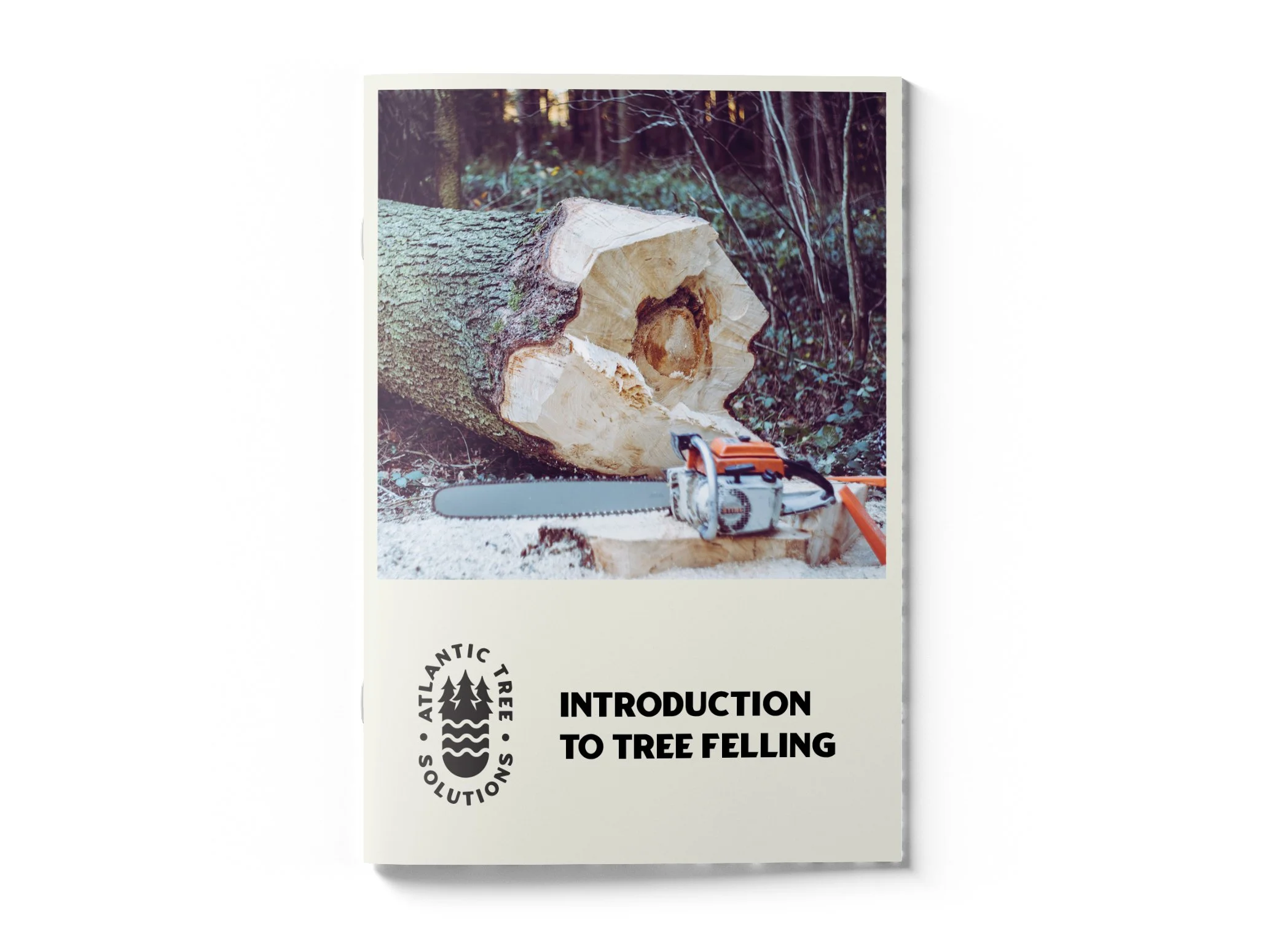 Introduction to Tree Felling — Atlantic Tree Solutions - Atlantic Canada