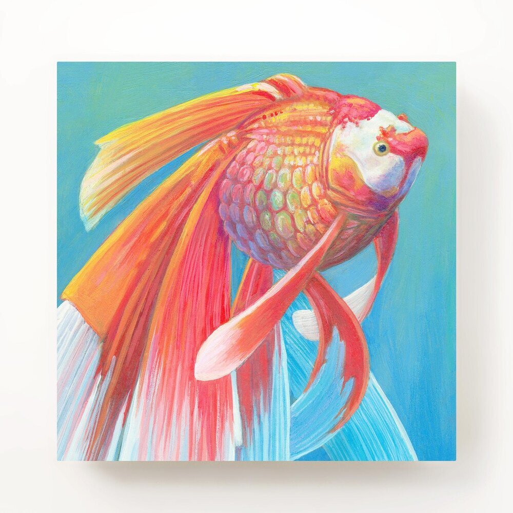 Fantail Goldfish Drawing