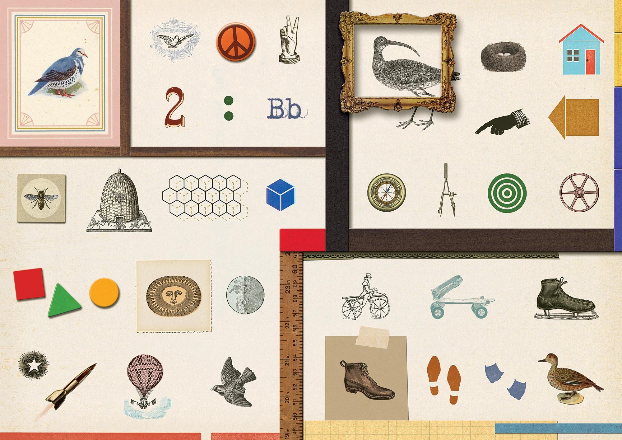 Illustration — Danny Snell