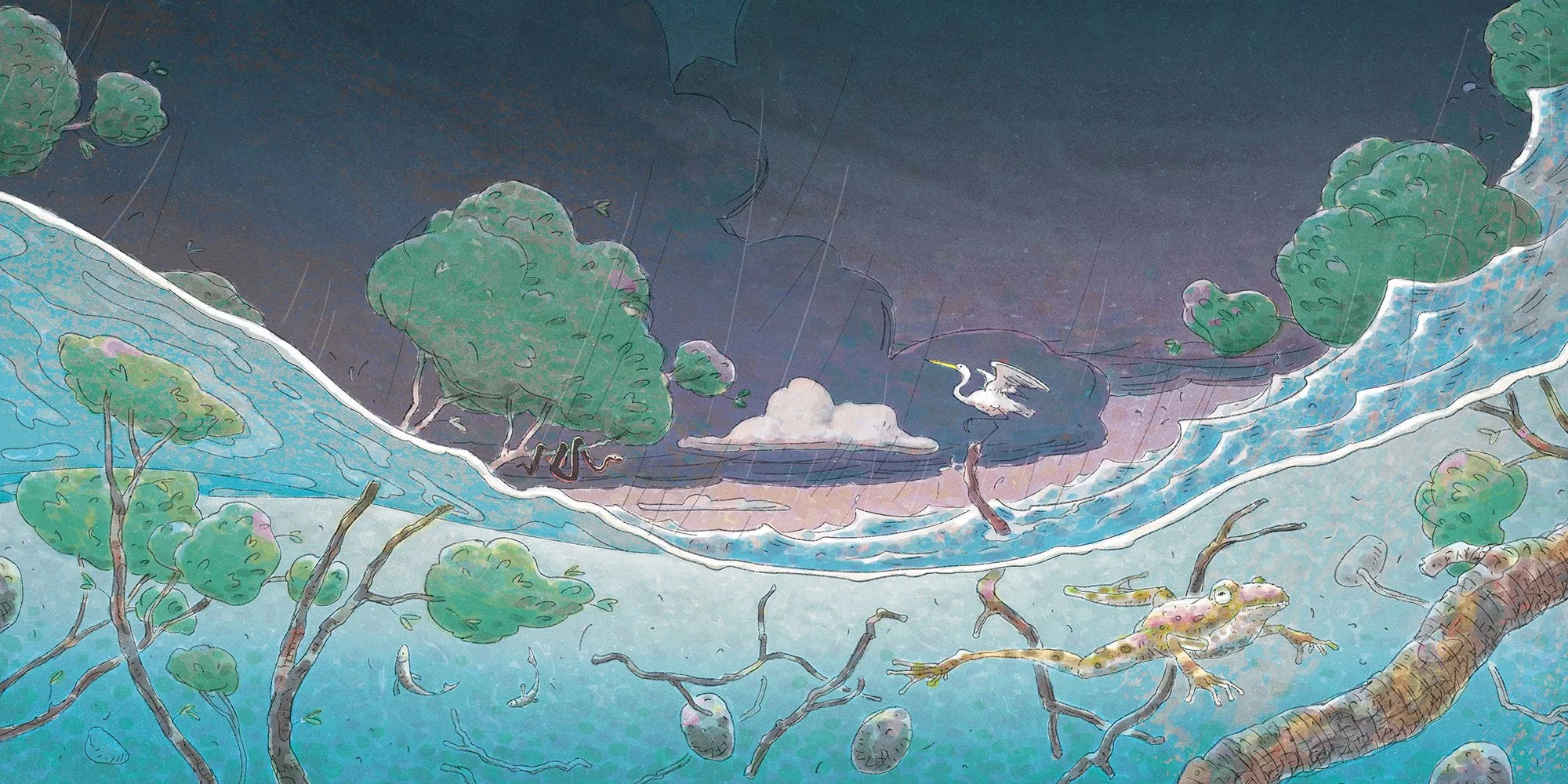 The Turtle and the Flood — Danny Snell