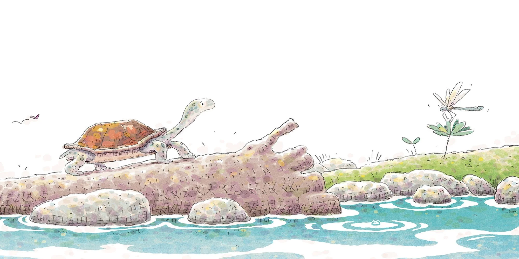 The Turtle and the Flood — Danny Snell