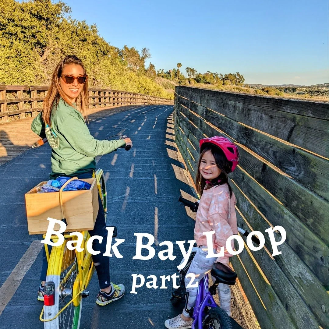 Back Bay Loop — Plan A Day Out