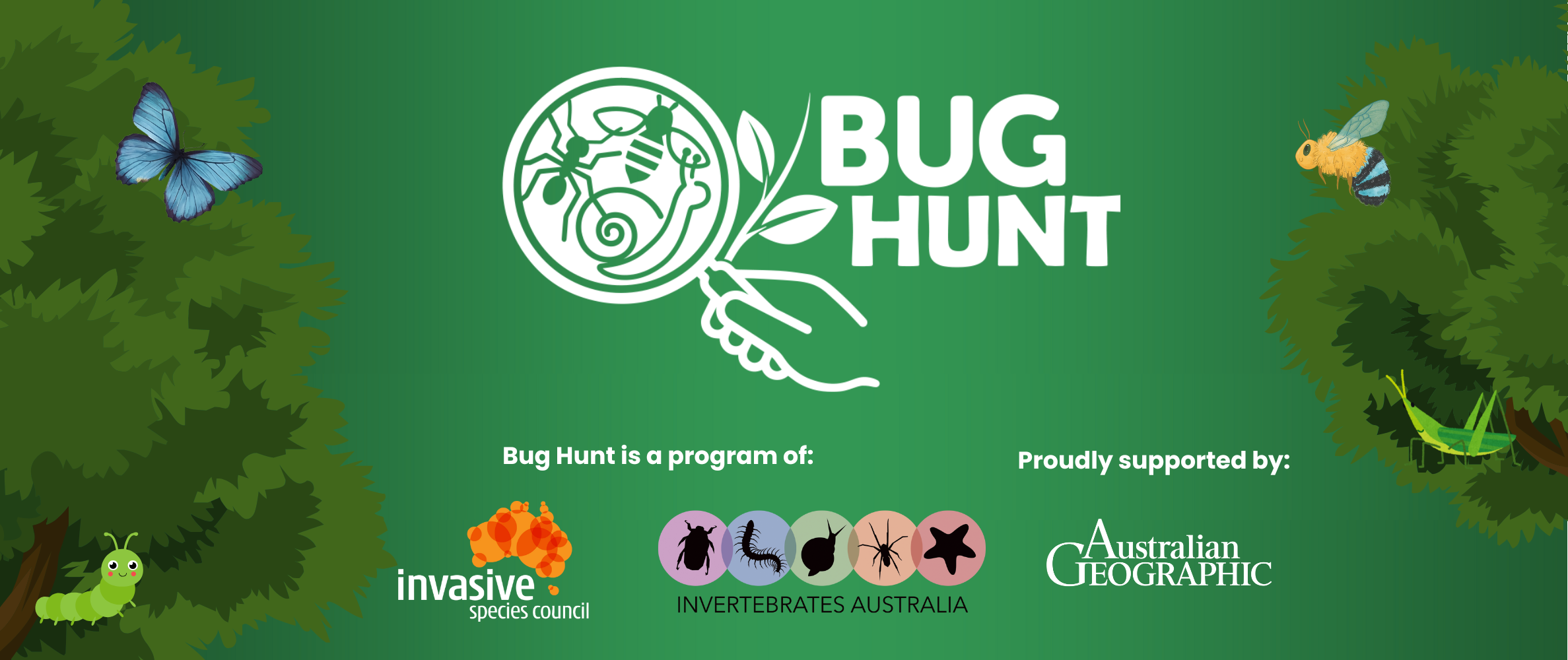 Bug Hunt — Invertebrates Australia