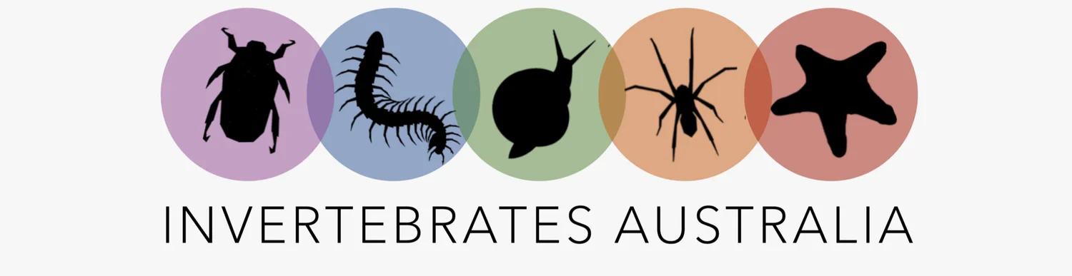 Invertebrates Australia