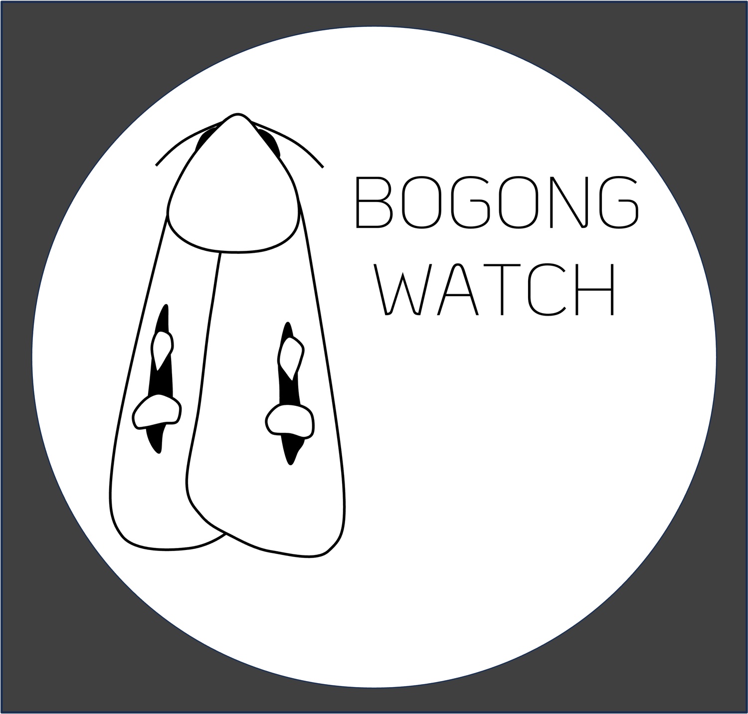 Bogong Watch — Invertebrates Australia