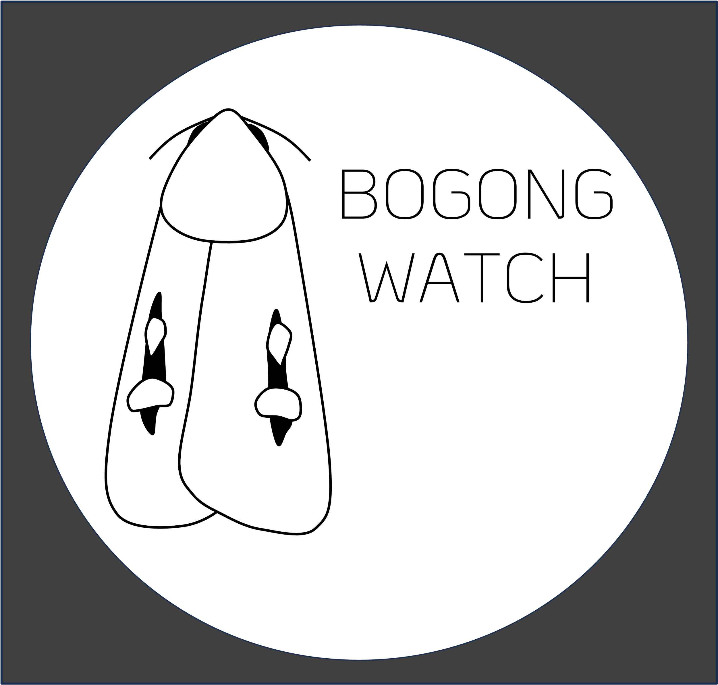 Bogong Watch — Invertebrates Australia