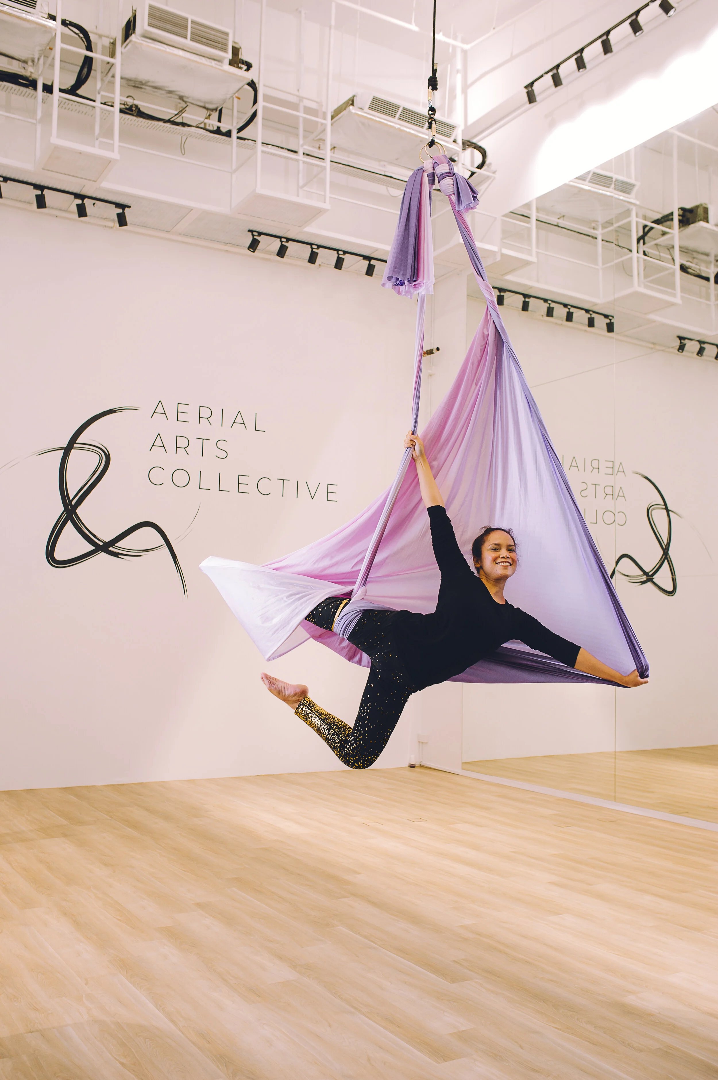 About — Aerial Arts Collective