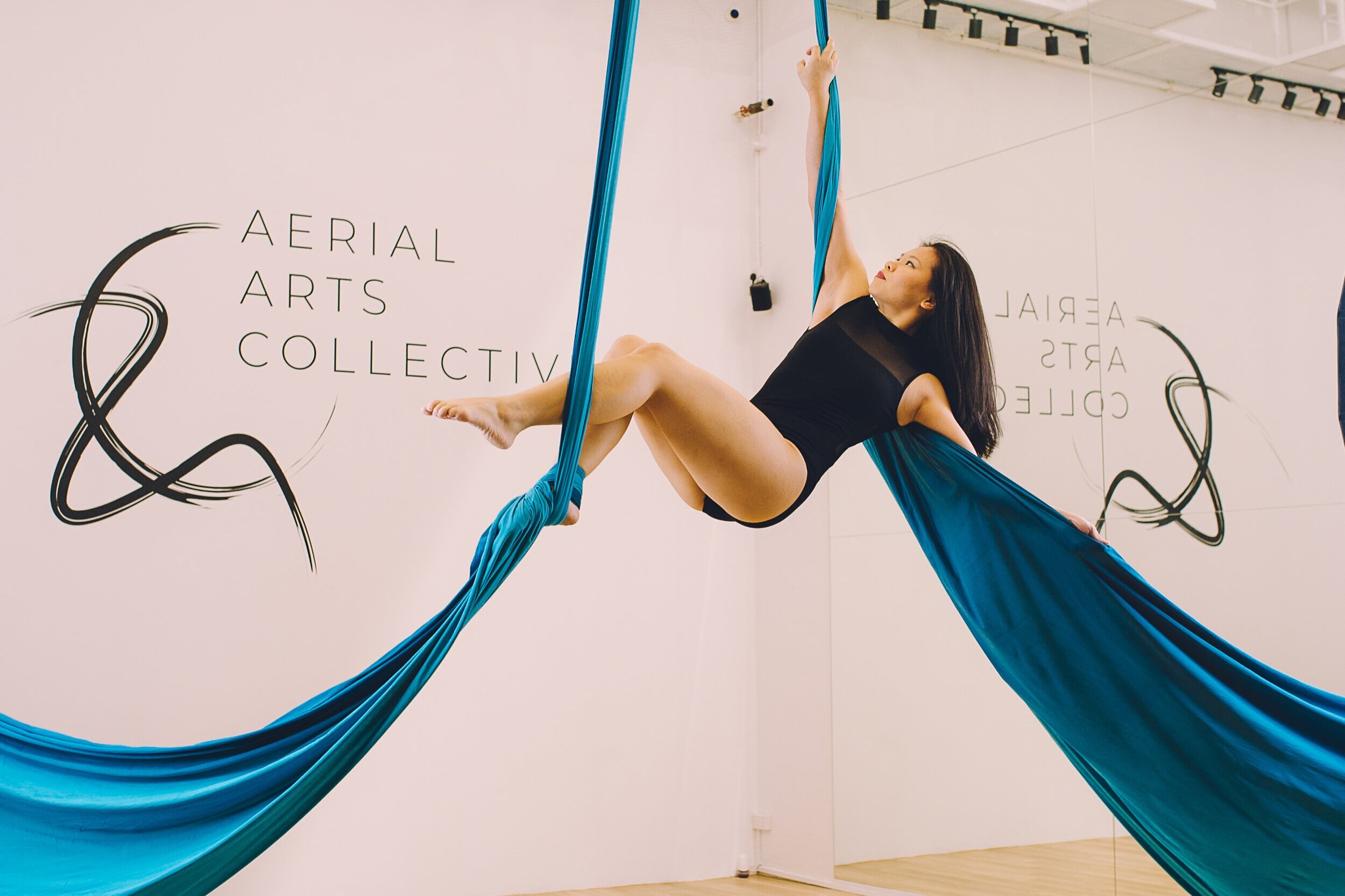 Classes — Aerial Arts Collective