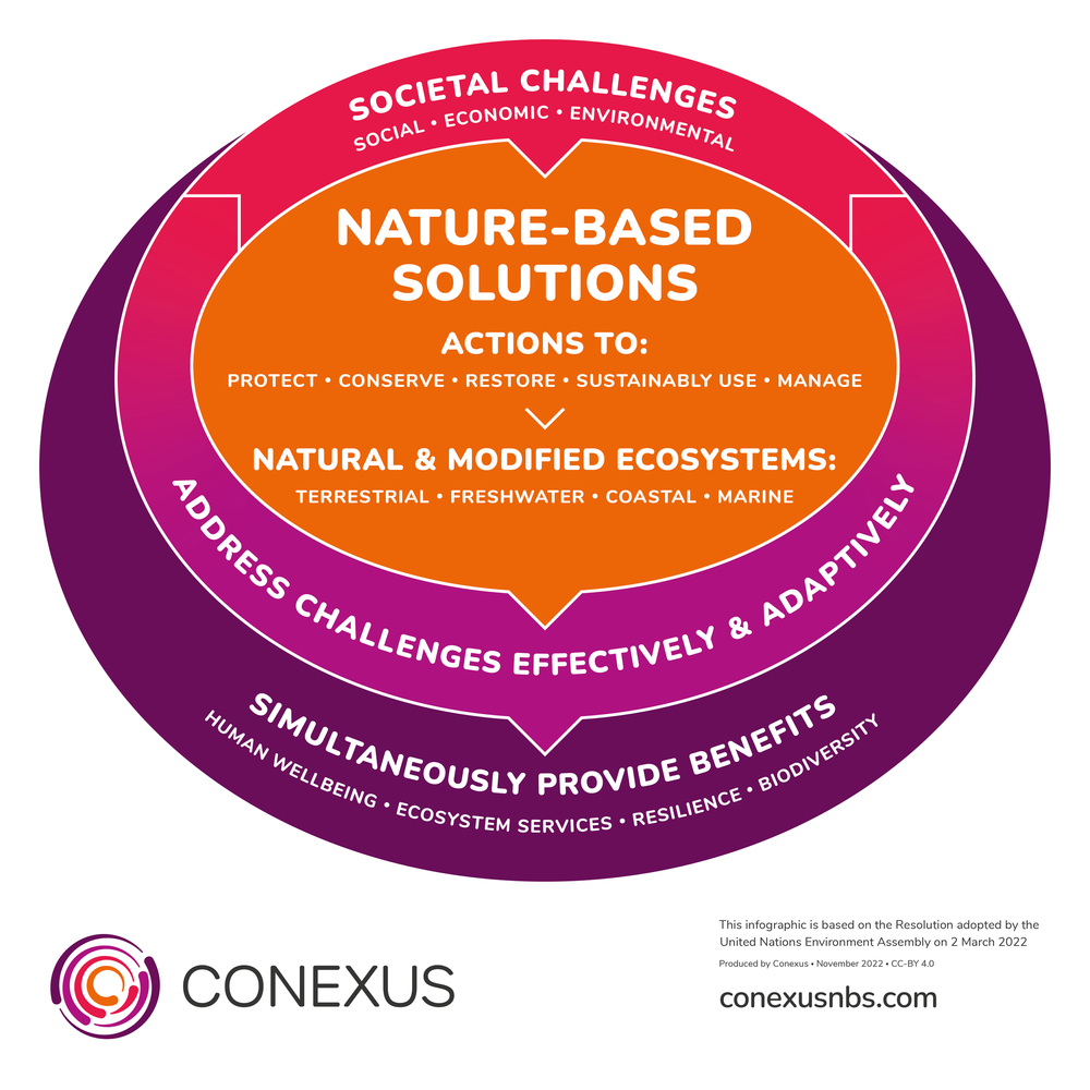 Nature-based solutions definition infographics — Conexus
